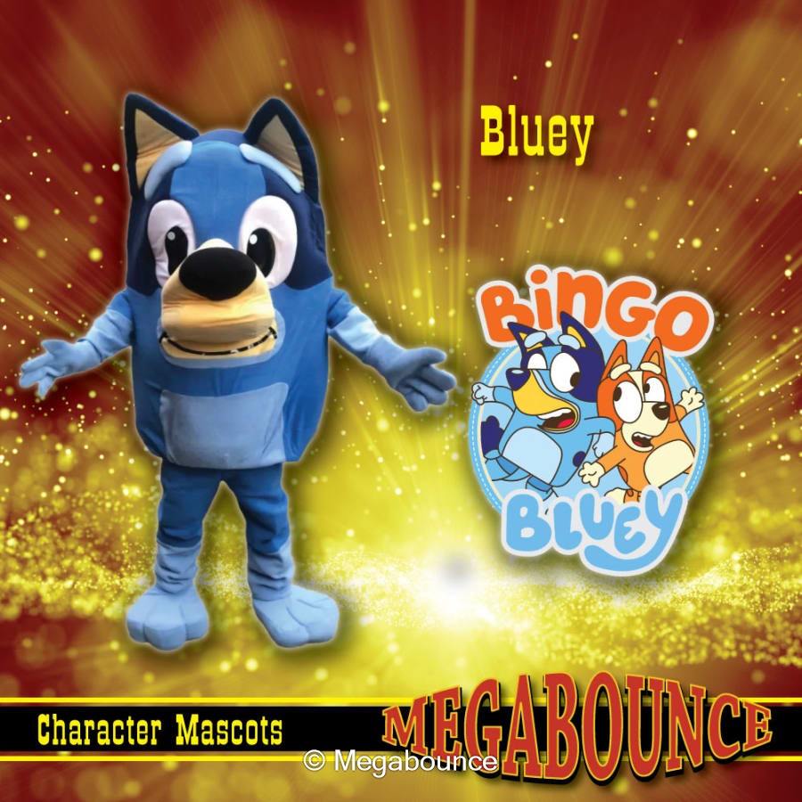 Bluey - Bouncy Castle Hire in Ross-on-wye, Herefordshire ...