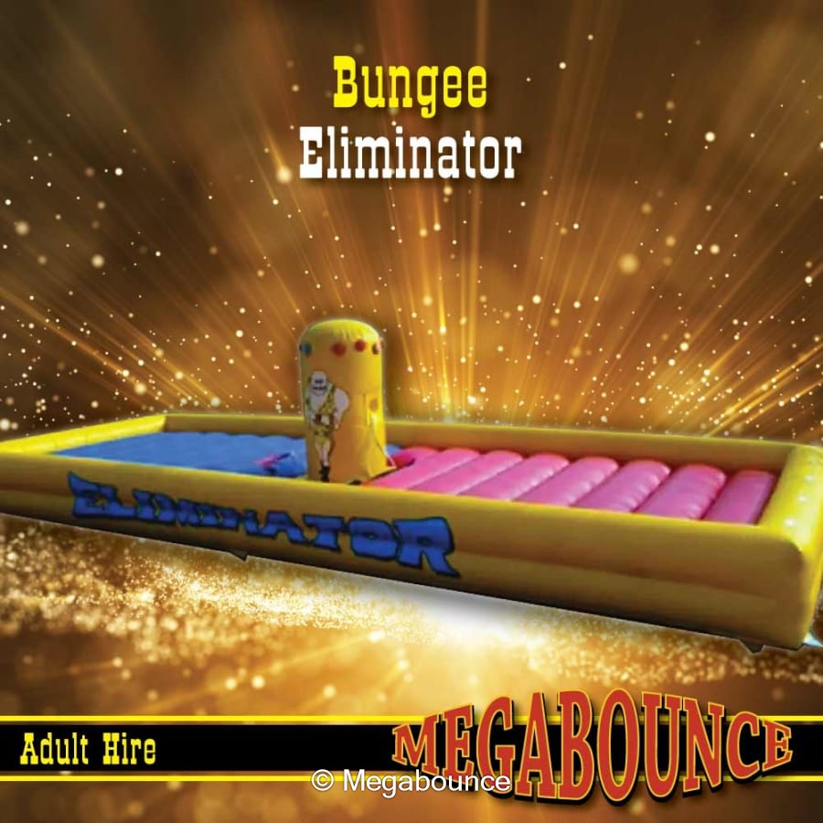 Bungee Eliminator - Bouncy Castle Hire in Ross-on-wye, Herefordshire ...